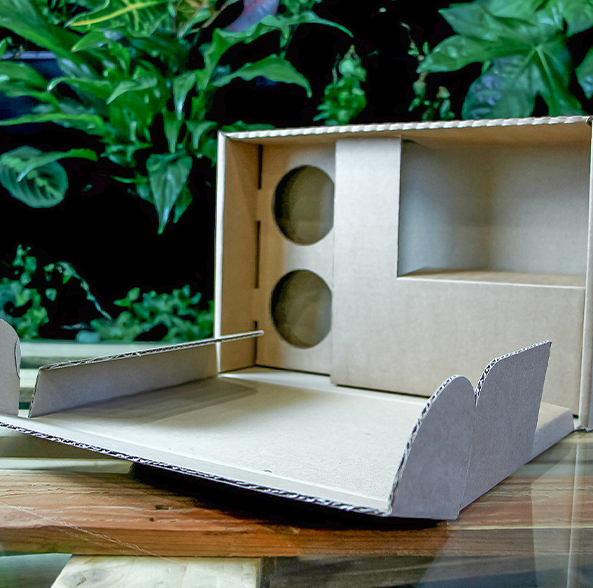 Packaging Review - Greyhound Box