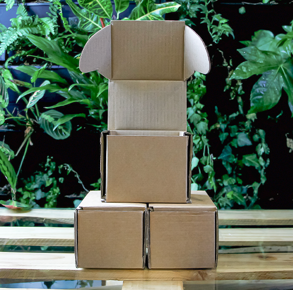 FMCG - Greyhound Box