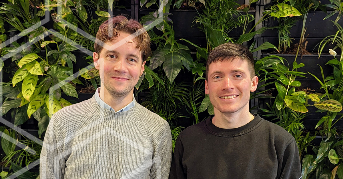 Sustainable Packaging Design: Insights from Our Team - Greyhound Box