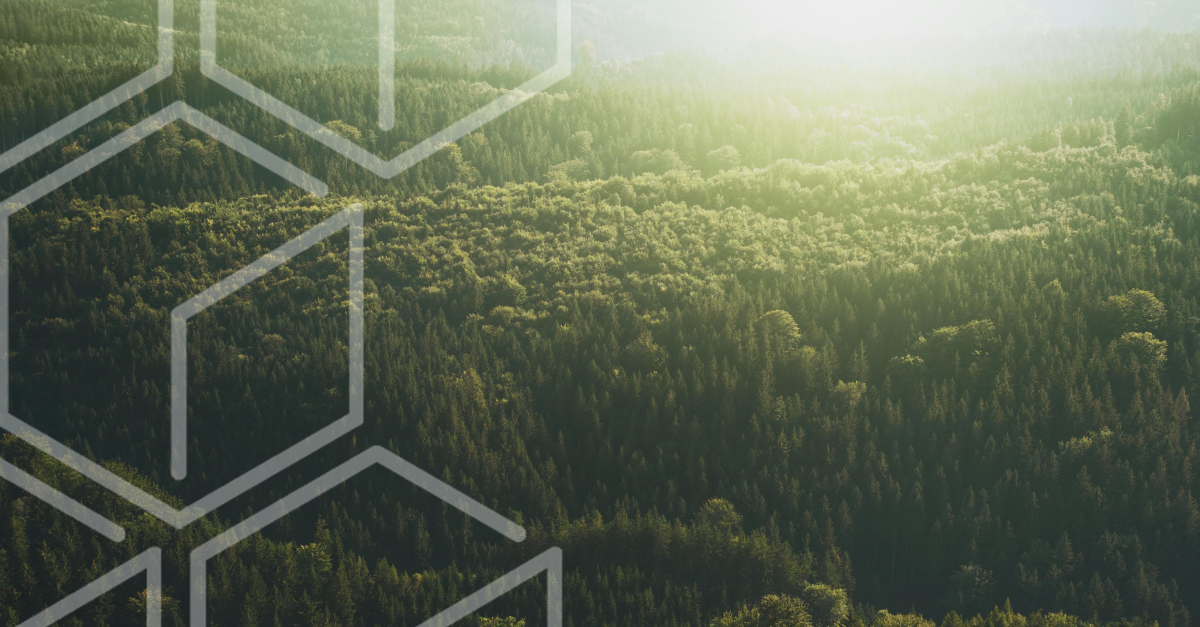 Sustainable Packaging Legislation Changes in 2025