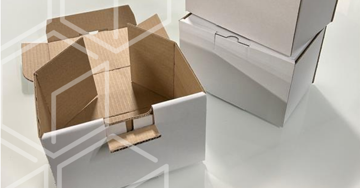 What to Look for in a Sustainable Packaging Design - Greyhound Box